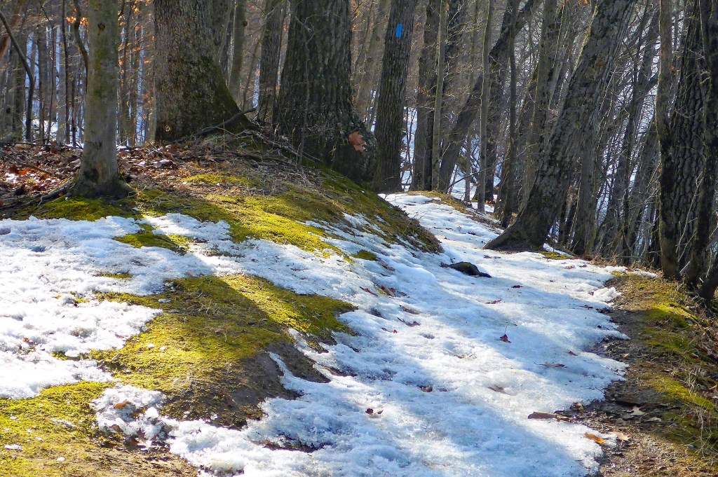 Spring Thaw | The Outdoor Journal